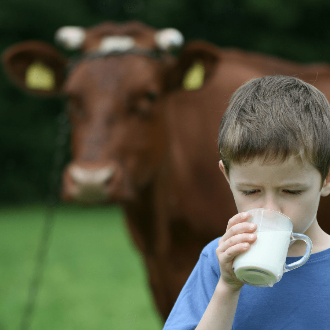 Addiction to Cow's Milk is a Real Thing | Spectrum Care Plus